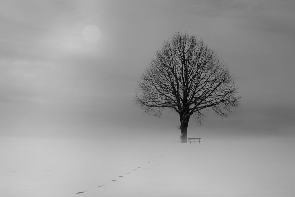 ein Wintertag Foto & Bild | jahreszeiten, winter, natur Bilder auf ...