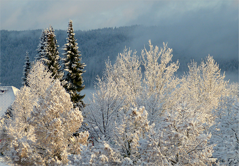 Ein Wintertag Foto & Bild | jahreszeiten, winter, baden-württemberg ...