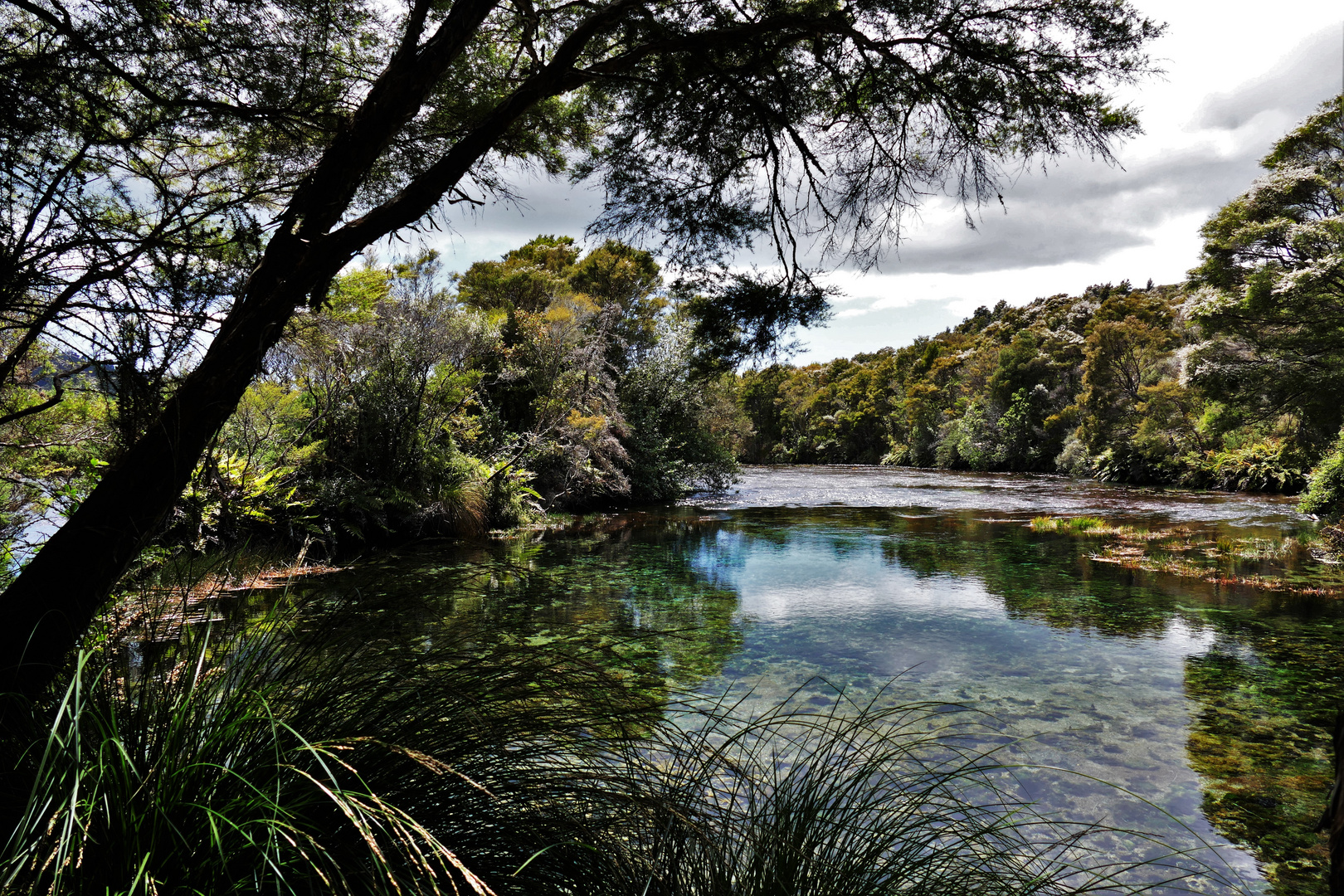 Einblick ins Paradies Foto & Bild | australia & oceania, new zealand ...