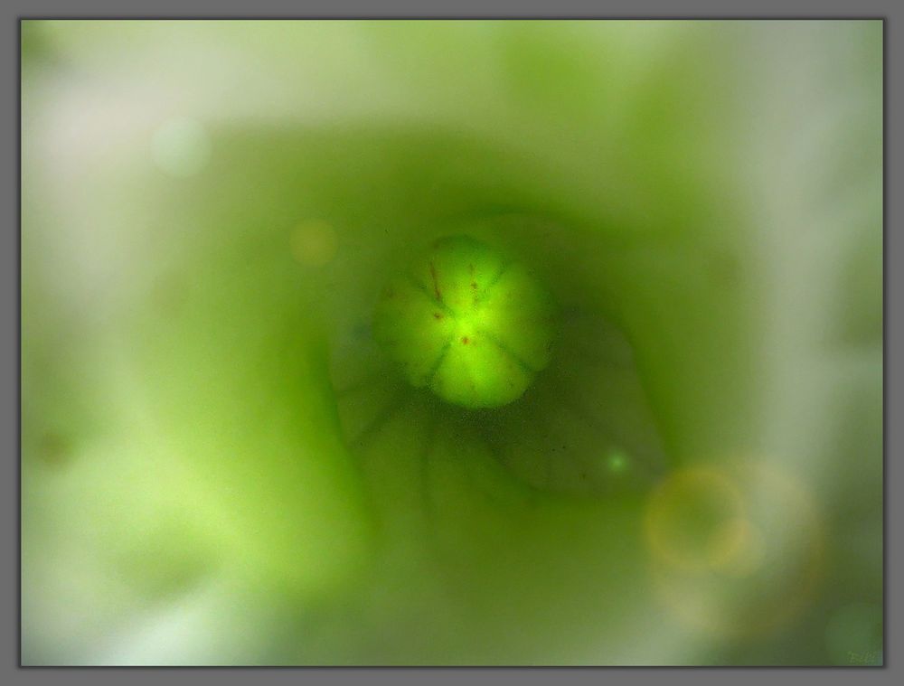 Einblicke ... Foto & Bild | bearbeitungs - techniken, filtertechniken, digiart Bilder auf ...