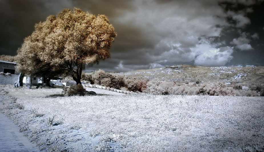 Einblicke I Foto & Bild | infrarot, techniken, farb-infrarot Bilder auf ...