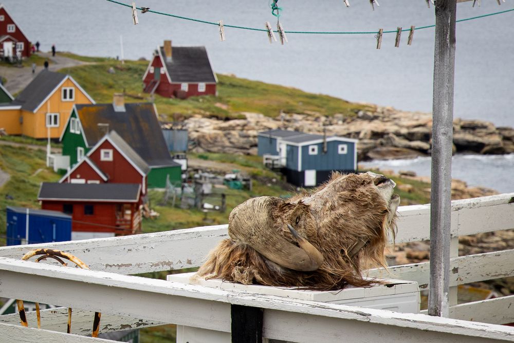 Eindrücke aus Upernavik - 1 Foto & Bild | world, häuser, grönland ...