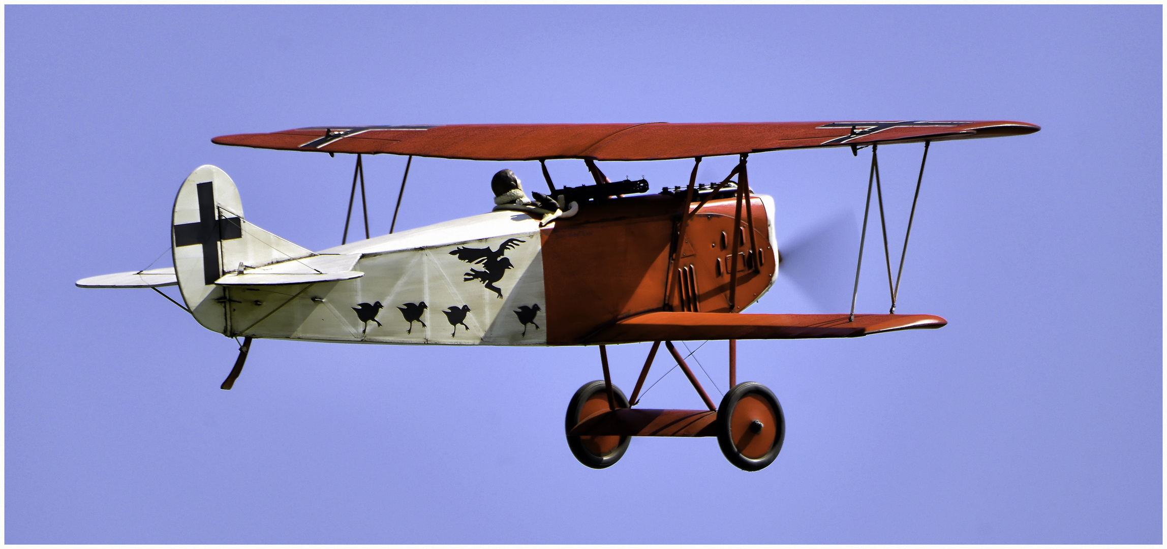 Eine aus der "Raben-Staffel " ! Foto & Bild | airplane, verkehr ...