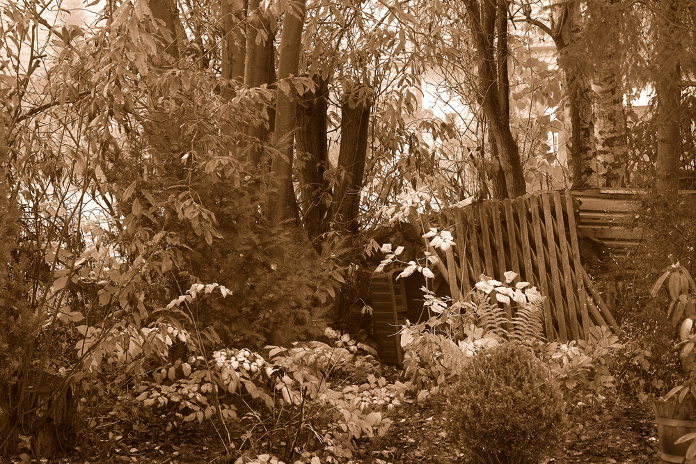 Eine Ecke im Garten Foto & Bild | landschaft, garten ...