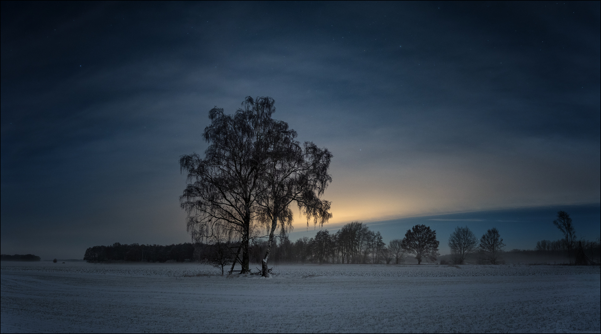 * Eine eiskalte Winternacht * Foto & Bild | wald, landschaften, outdoor ...
