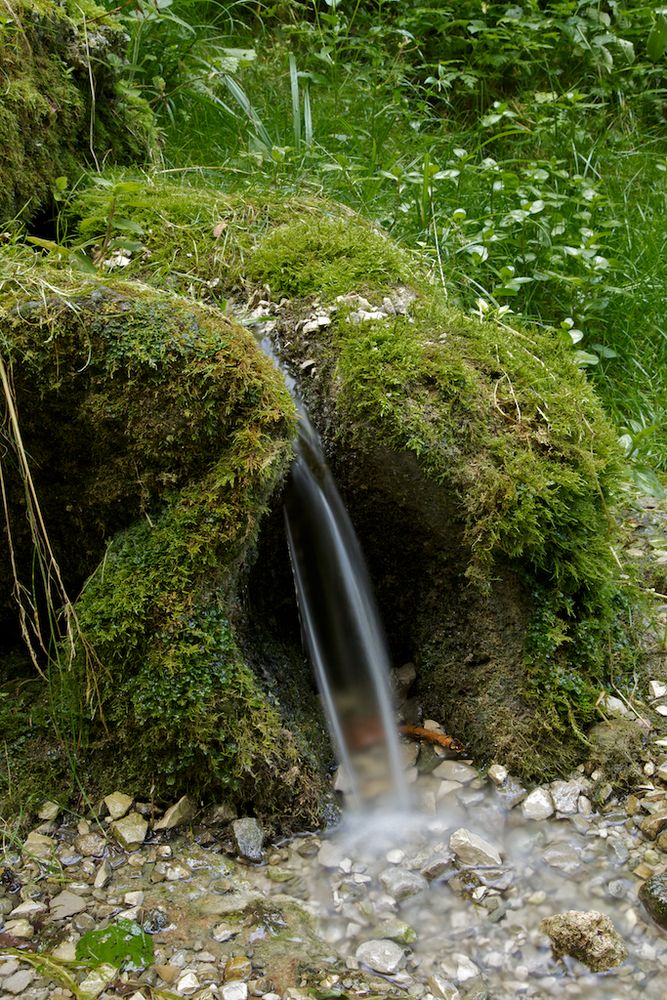 Eine kleine Quelle Foto & Bild | landschaft, wasserfälle, bach, fluss & see Bilder auf fotocommunity
