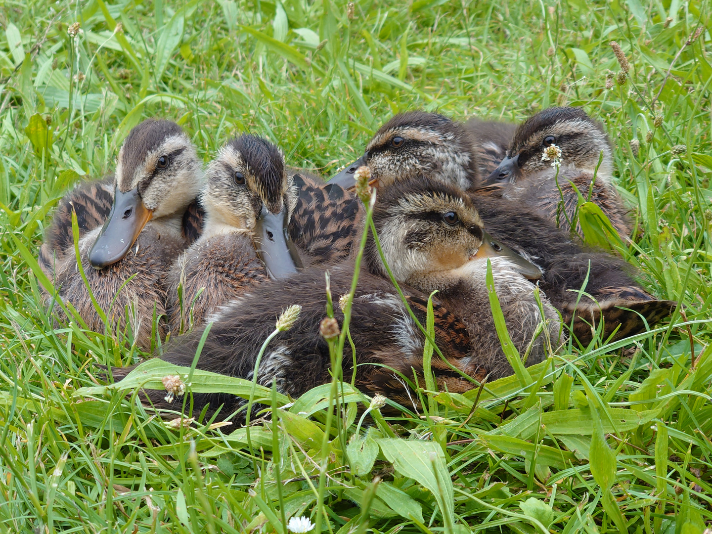 Eine kleine Ruhepause Foto & Bild | deutschland, europe, abstraktes ...