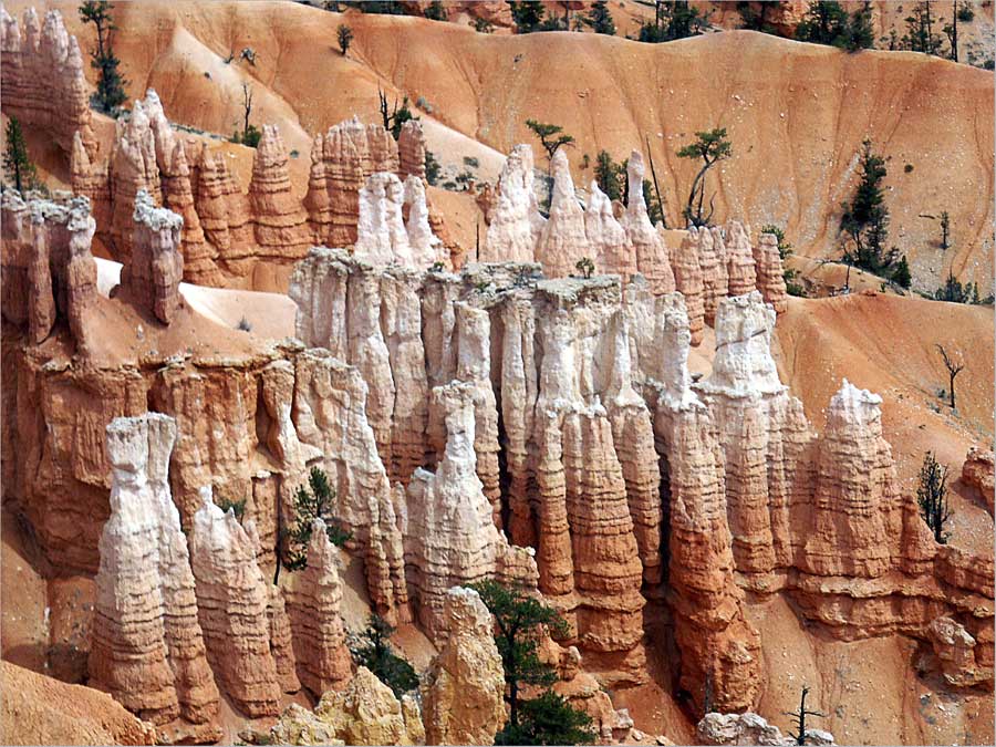 Eine Legende ..... Foto & Bild | north america, united states, national ...