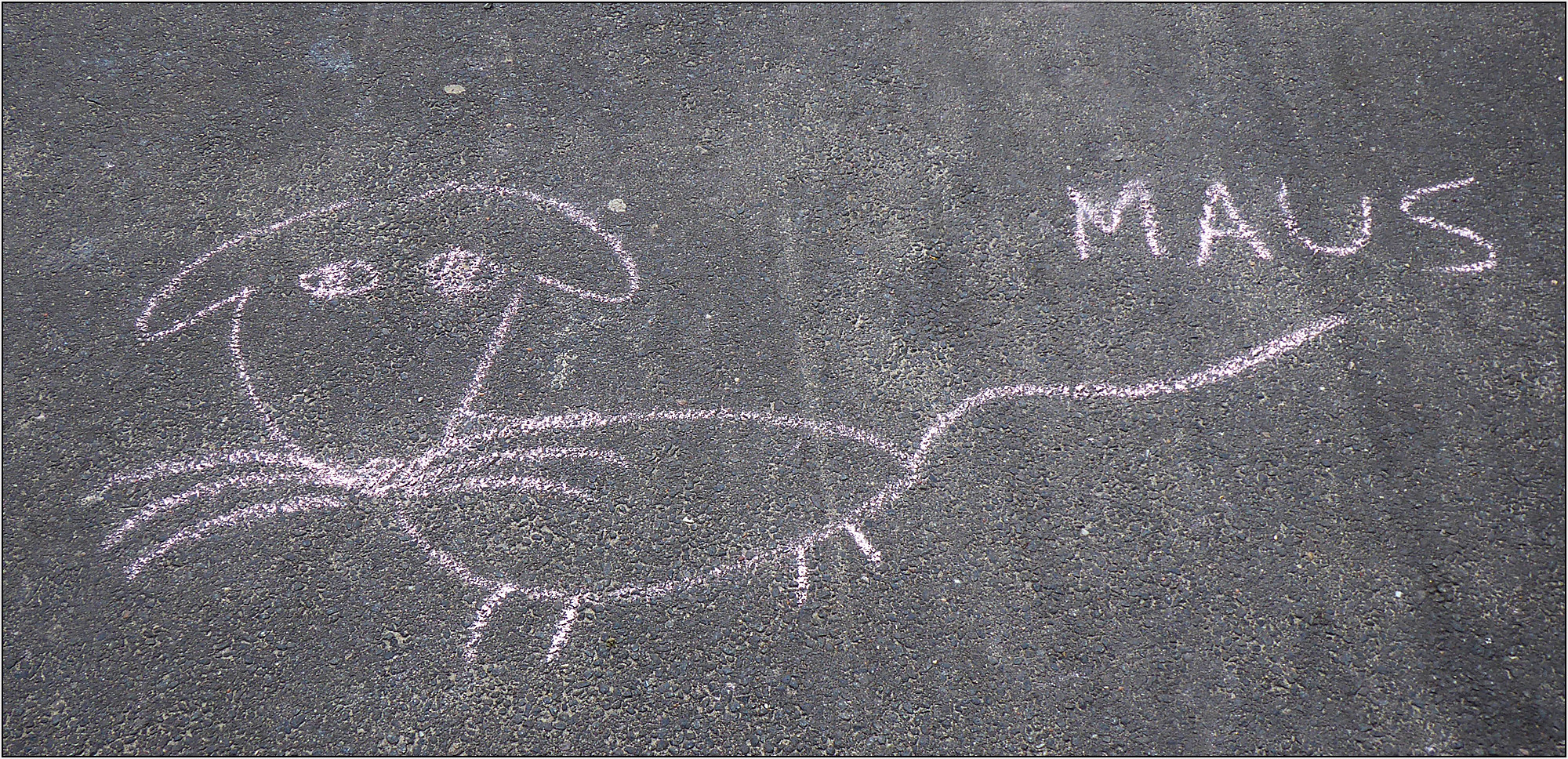 Eine MAUS ... Foto & Bild | tiere, wildlife, maus Bilder auf fotocommunity