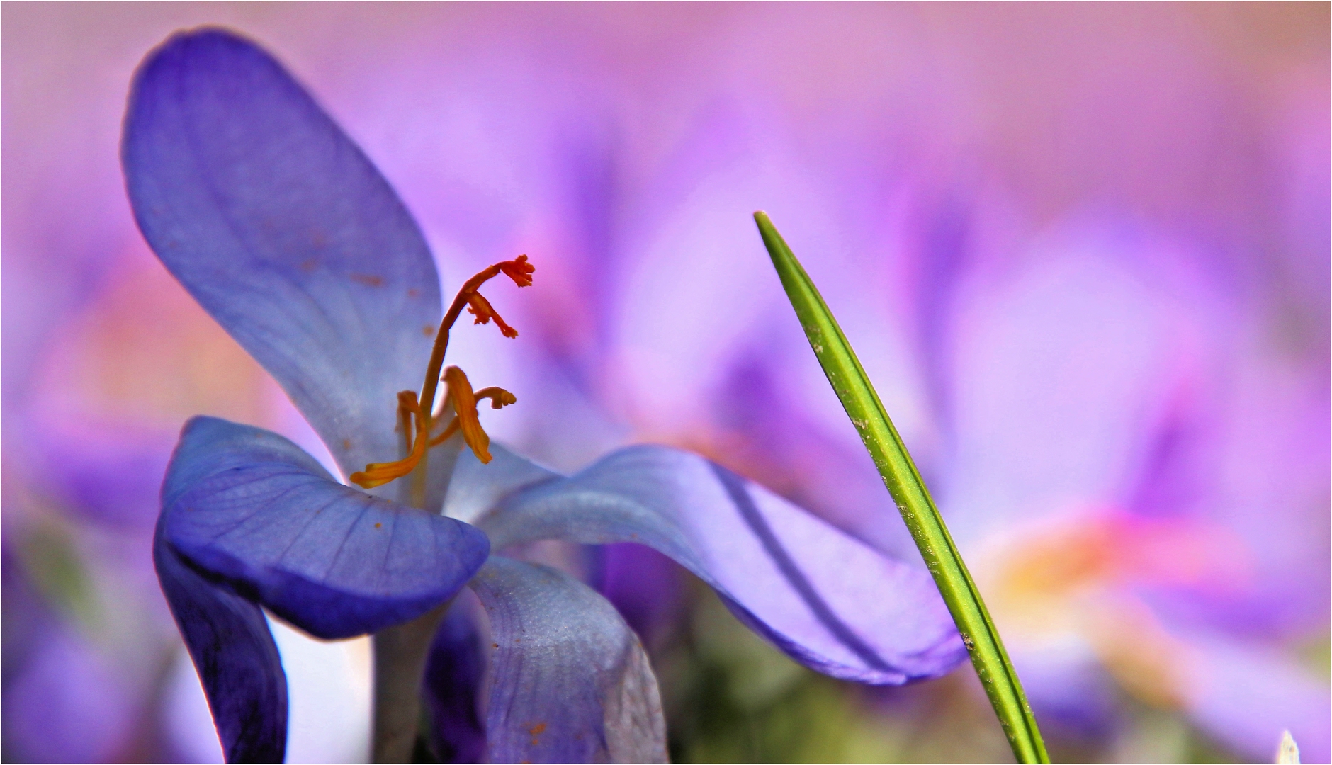 EINE NEUE JAHRESZEIT Foto & Bild | world, makro, frühling Bilder auf fotocommunity