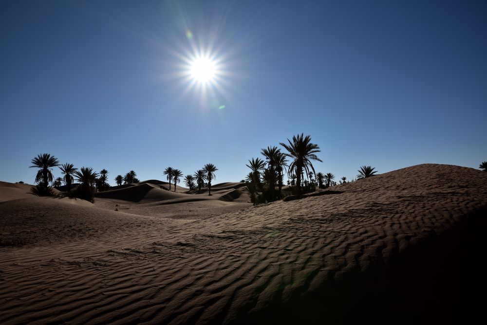 Eine Oase in der Wüste Foto & Bild | africa, morocco, north africa ...
