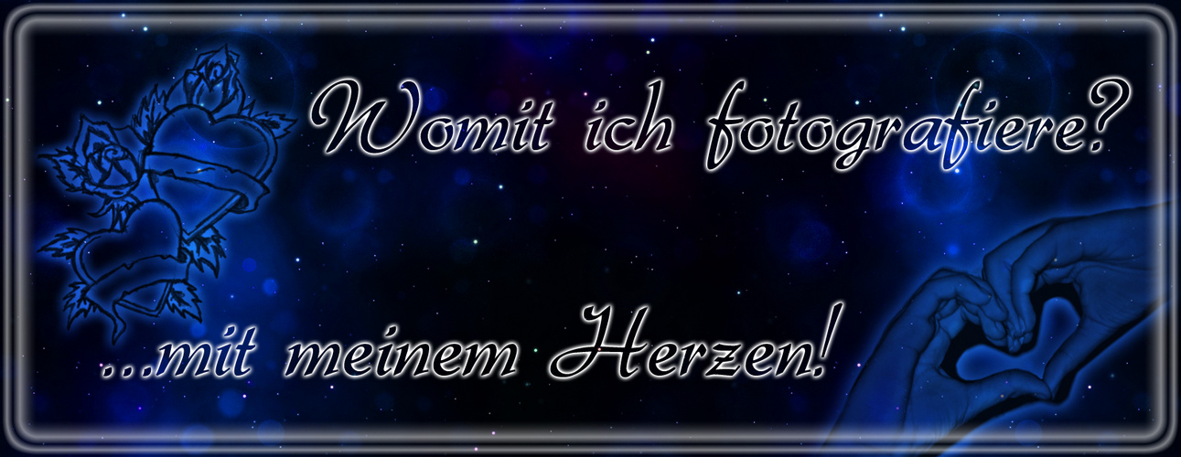 eine oft gestellte Frage: womit fotografiert du?? Foto & Bild ...