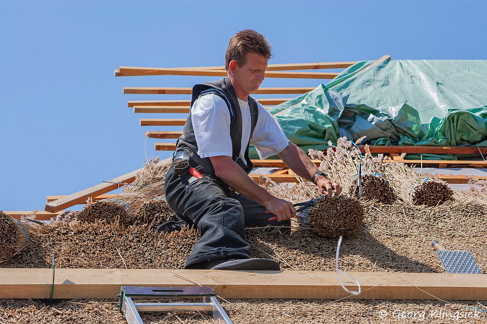 Eine Reise rund um den Ringkøbing Fjord 4 Foto & Bild | world, rügen ...