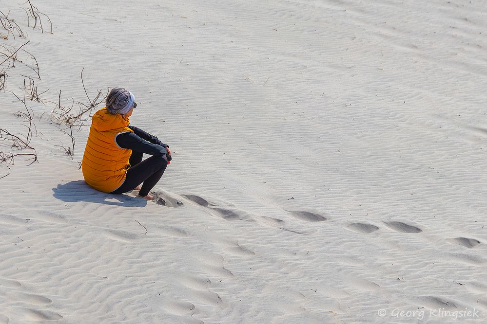 Eine Reise rund um den Ringkøbing Fjord 6 Foto & Bild | urlaub, world ...