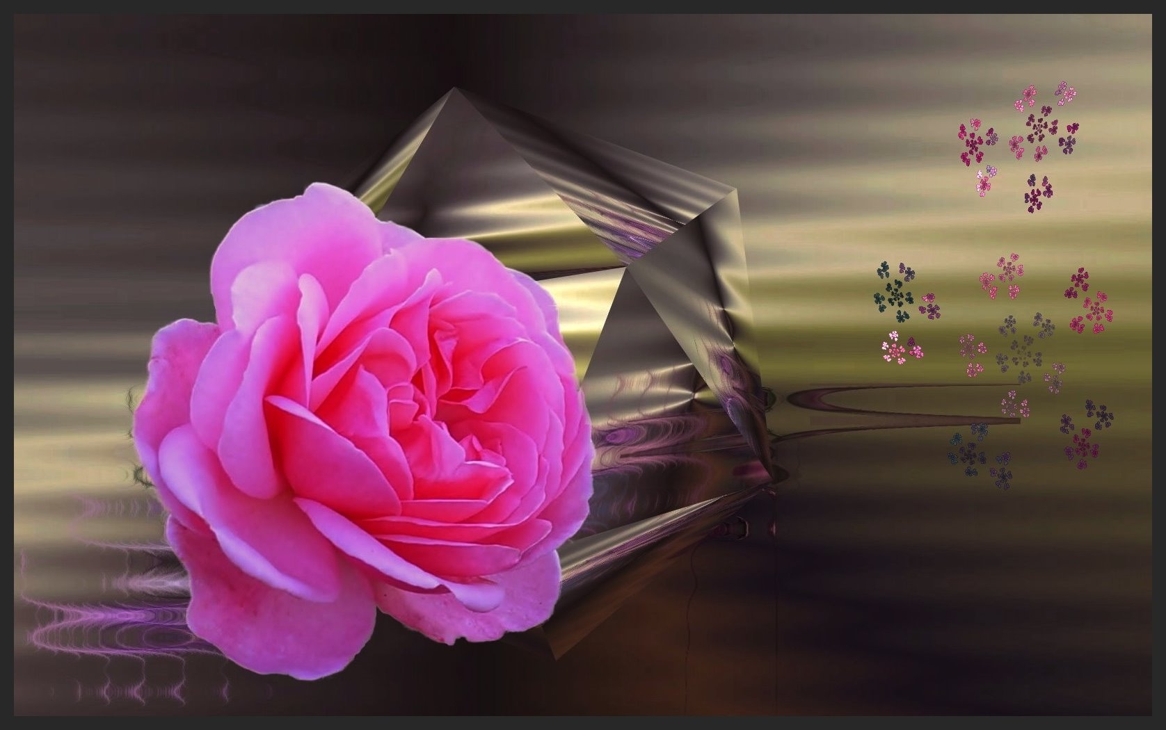 Eine Rose . . . Foto & Bild | pflanzen, pilze & flechten, blüten ...