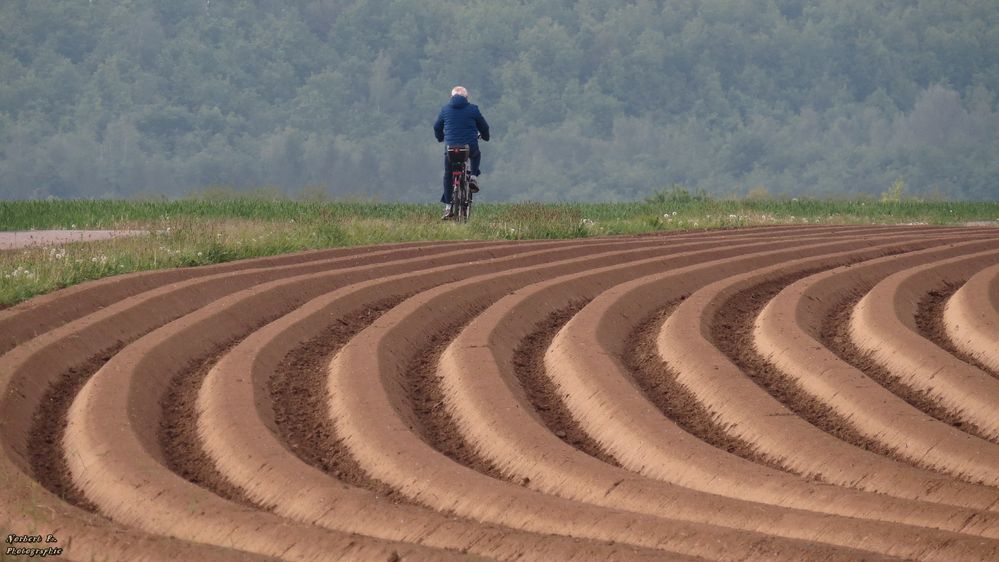 Eine Runde drehen Foto & Bild | outdoor, erwachsene, radfahrer Bilder ...