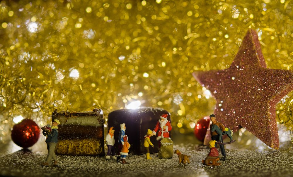 Eine schöne Bescherung... Foto & Bild | weihnachten, spezial, hund ...