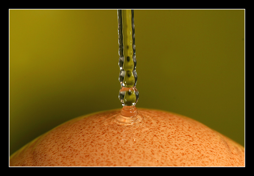 ++ EINEI ++ Foto & Bild | nah- & makro, techniken, aufnahme-techniken Bilder auf fotocommunity