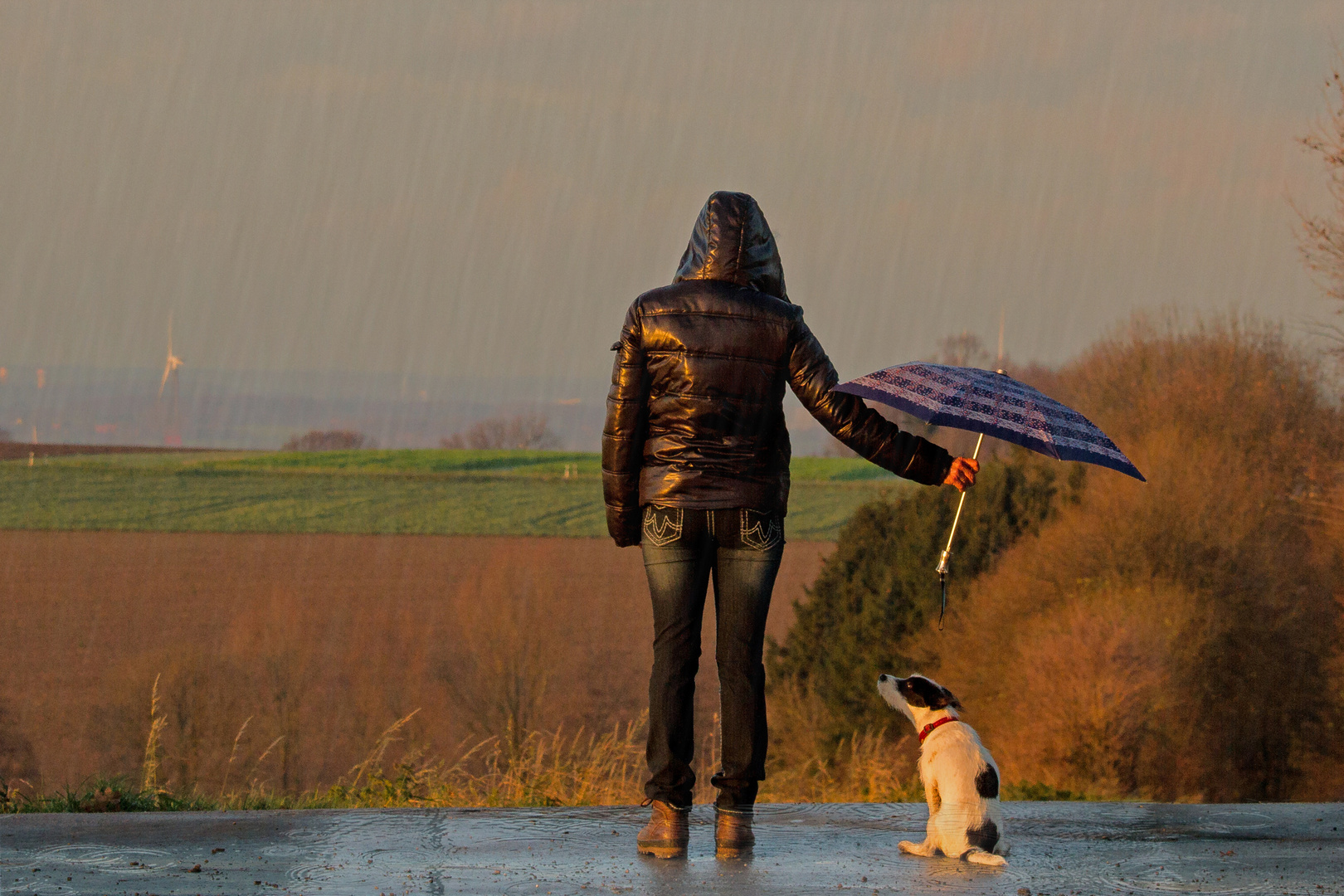 Einen Freund wie dich. Foto & Bild | archiv, a r c h i v aktuell ...