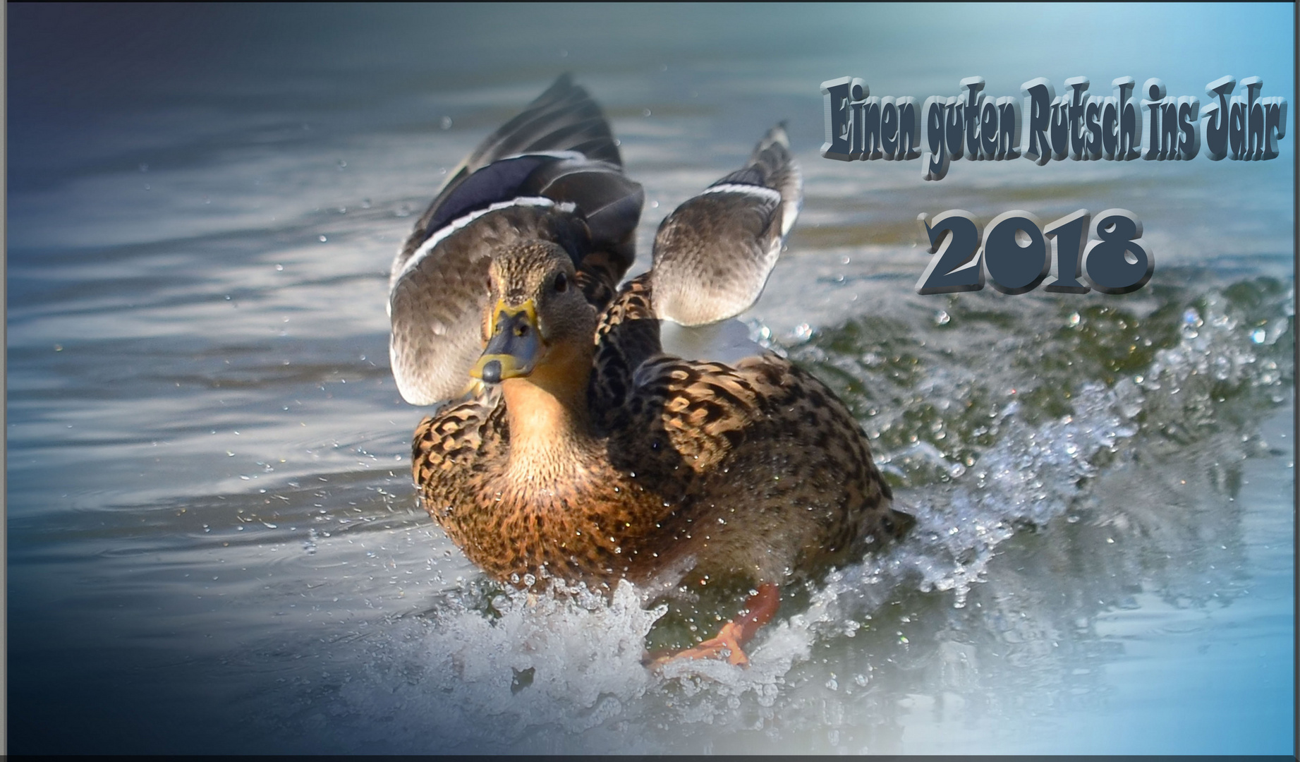 Einen guten Rutsch Foto & Bild | gratulation und feiertage, karten und ...