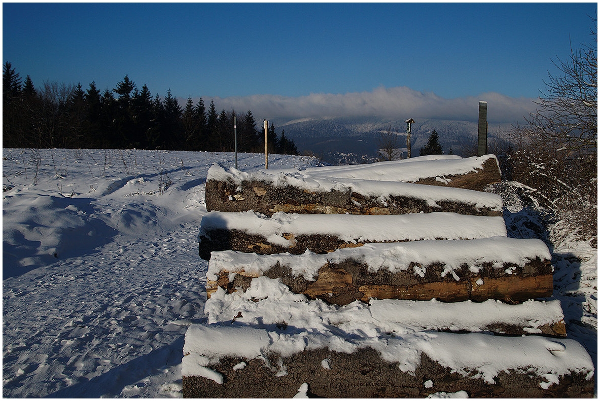 Einen guten Rutsch ins Jahr 2023... Foto & Bild | wald, kalt, bäume ...