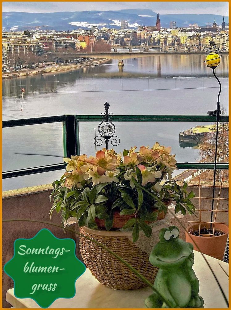 Einen schönen Sonntag Foto & Bild | europe, schweiz & liechtenstein ...