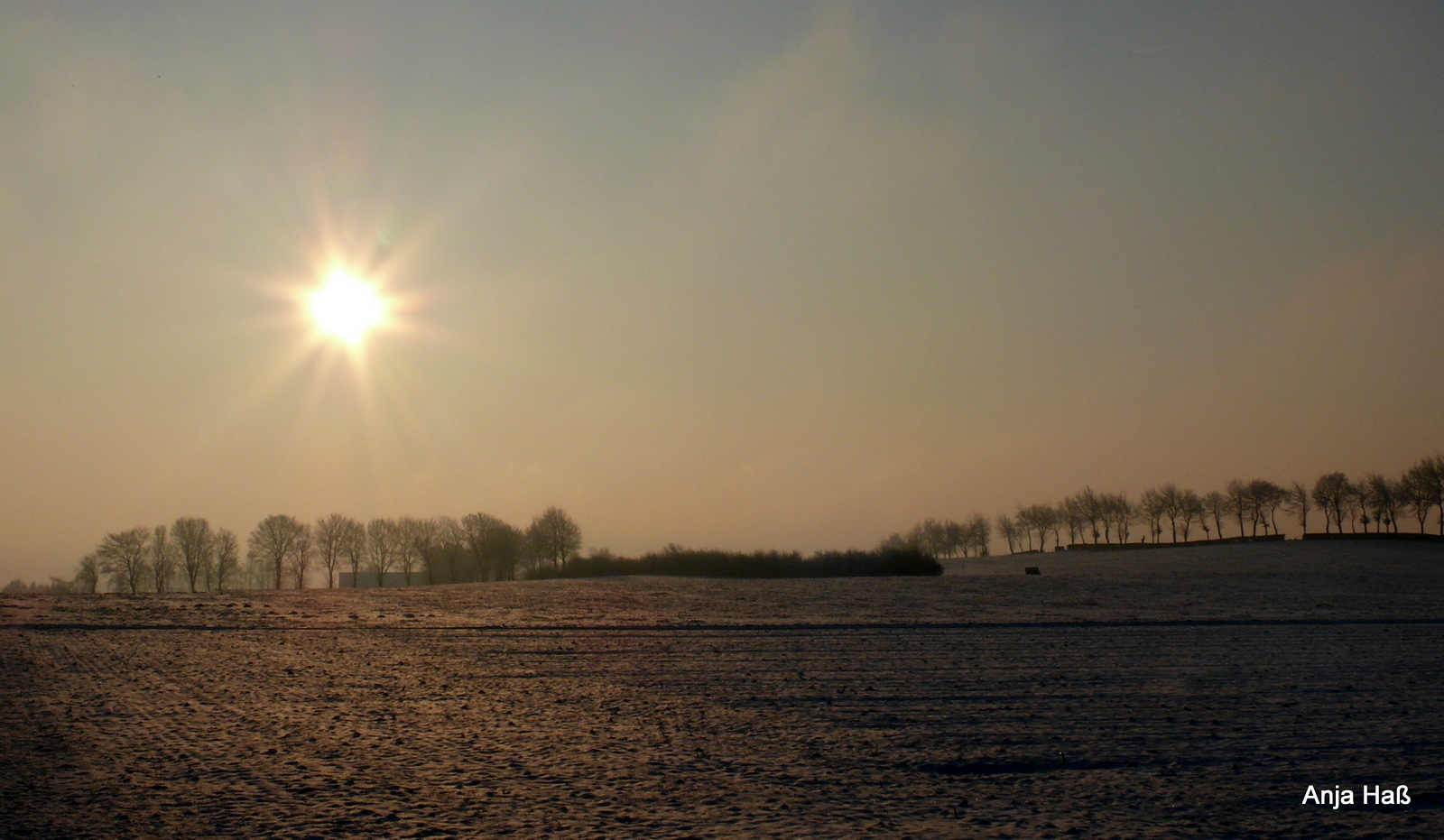 Einen Stern..... Foto & Bild | jahreszeiten, winter, natur Bilder auf ...