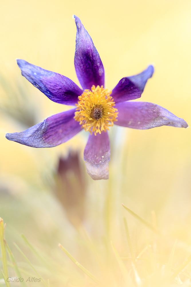 Einen Stern... Foto & Bild | deutschland, europe, nordrhein- westfalen ...