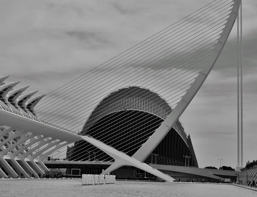 Einer muss immer das Maul aufreißen Foto & Bild | europe, spain ...