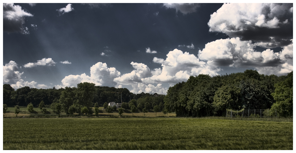 Einfach ein Feld Foto & Bild | landschaft, Äcker, felder & wiesen ...