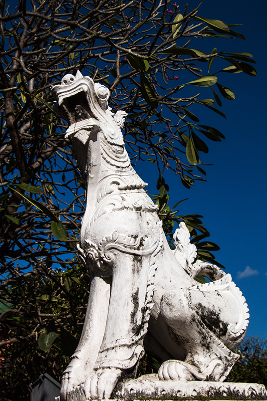 einfach mal das Maul aufreissen Foto & Bild | architektur, asia ...