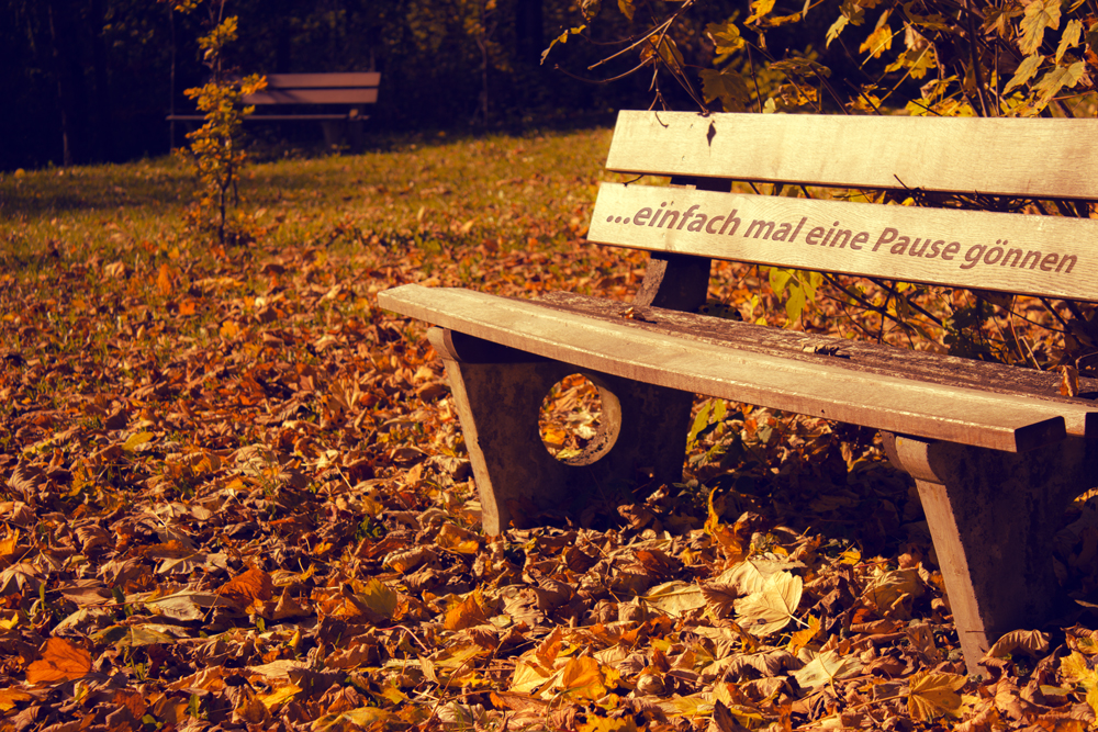 einfach mal eine Pause gönnen Foto & Bild | jahreszeiten, herbst ...