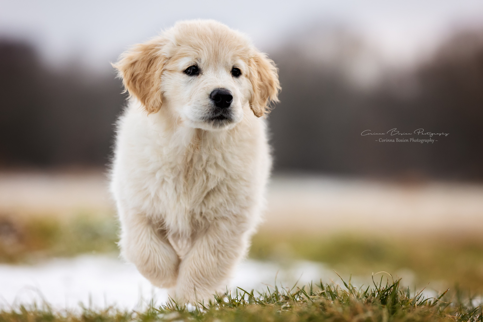 einfach nur niedlich * Foto & Bild | tiere, haustiere, jahreszeiten ...