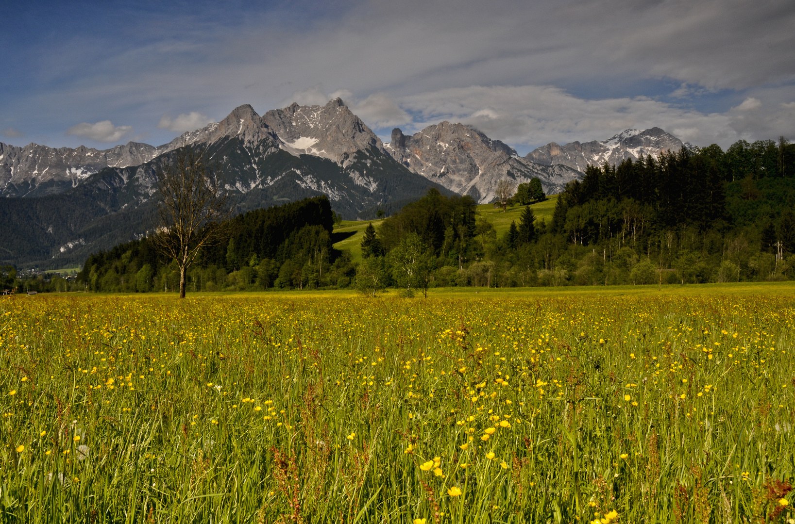 einfach Pinzgau Foto & Bild | landschaft, lebensräume, pinzgau Bilder ...