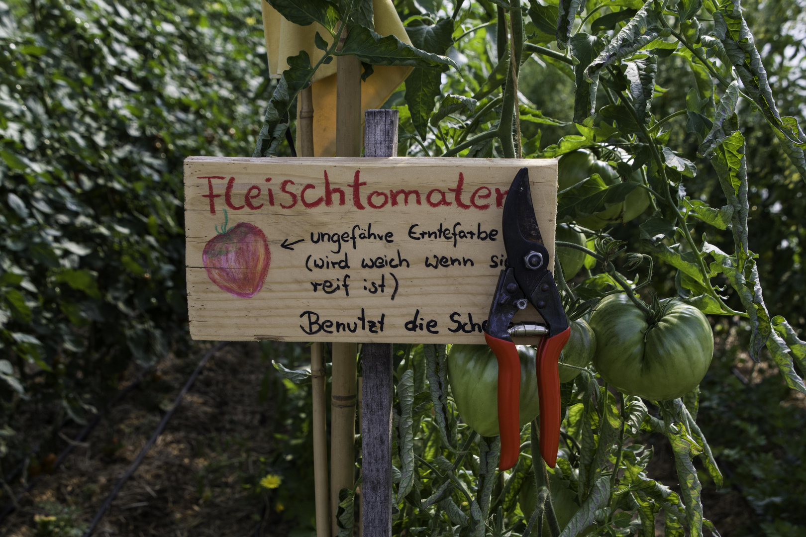 Einfallsreichtum gegen Entfremdung Foto & Bild | projekte, fight-club ...