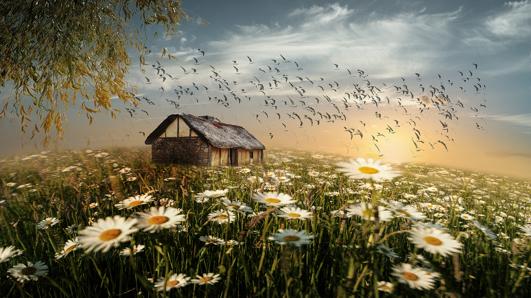 eingebettet Foto & Bild | fotomontage, landschaften, surreal Bilder auf fotocommunity