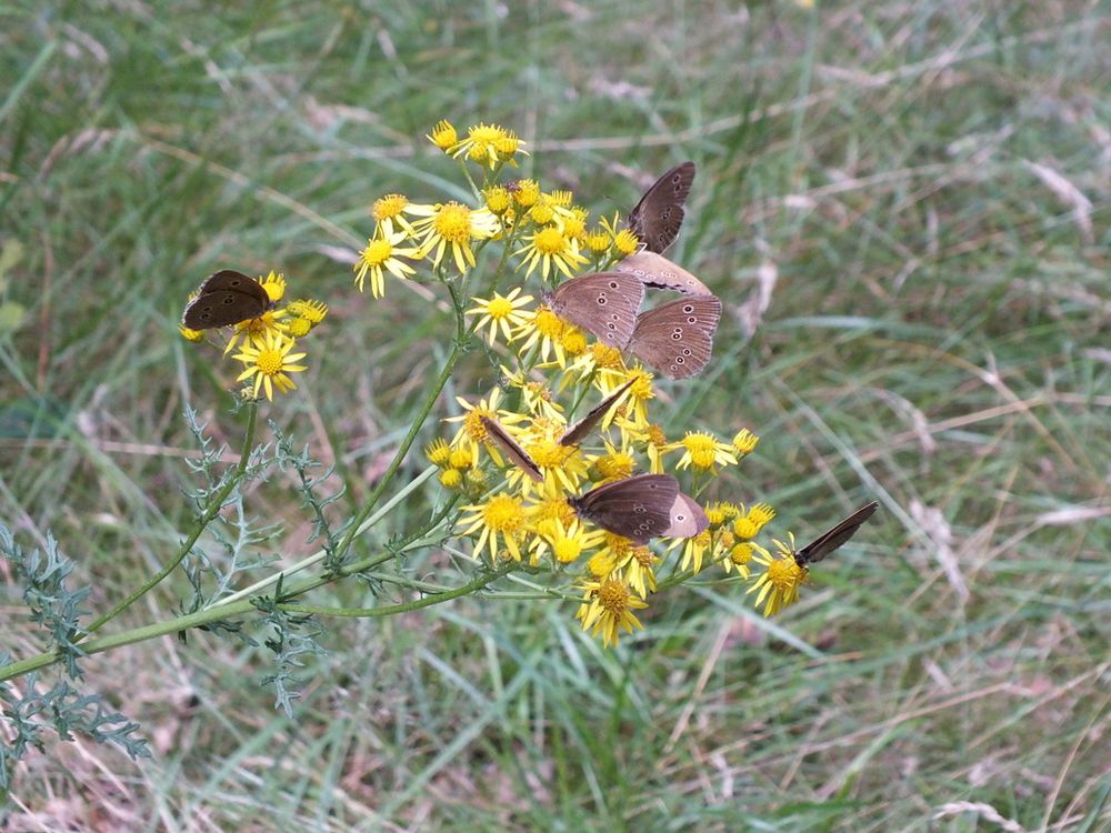 fotocommunity Portfolio von Peter Kotowski