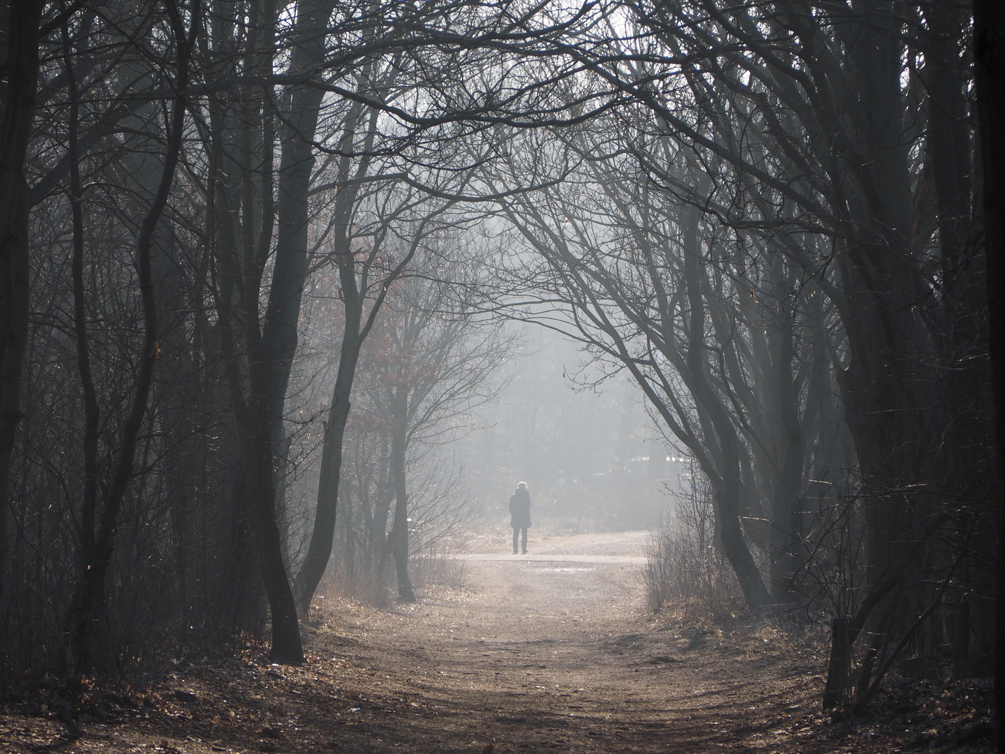 Einsam im Nebel Foto & Bild | streetfotografie mit menschen, menschen Bilder auf fotocommunity