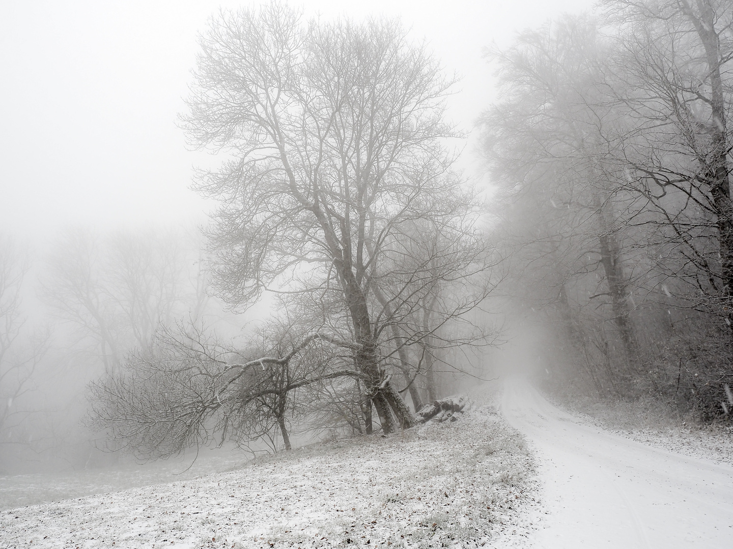 Einsam im Nebel zu wandern ... (3) Foto & Bild | landschaft ...
