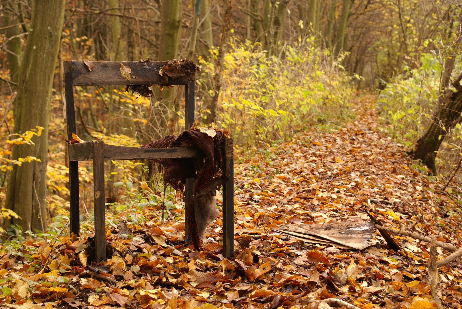 einsam und verlassen... Foto & Bild | jahreszeiten, herbst, natur ...