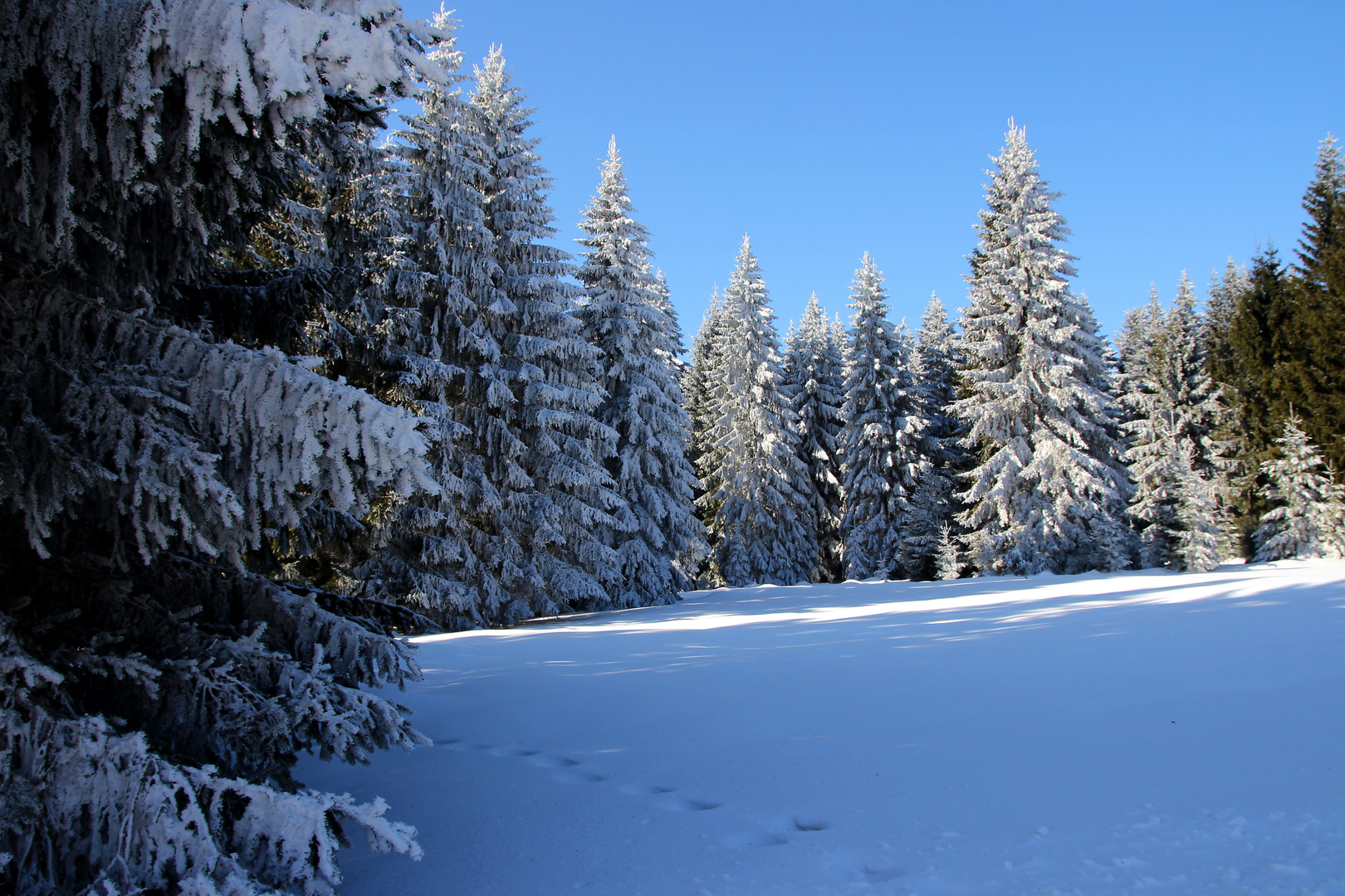 einsame Spur Foto & Bild | winter, schnee, natur Bilder auf fotocommunity