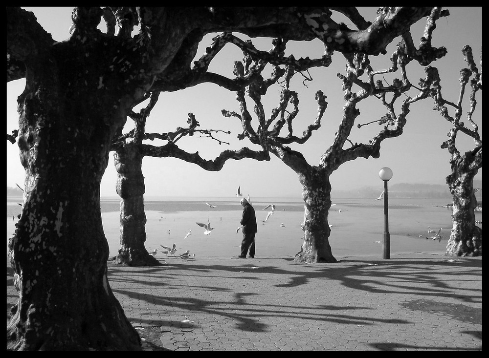 Einsamkeit Foto & Bild | erwachsene menschen, alltagsereignisse, menschen in der freizeit Bilder ...