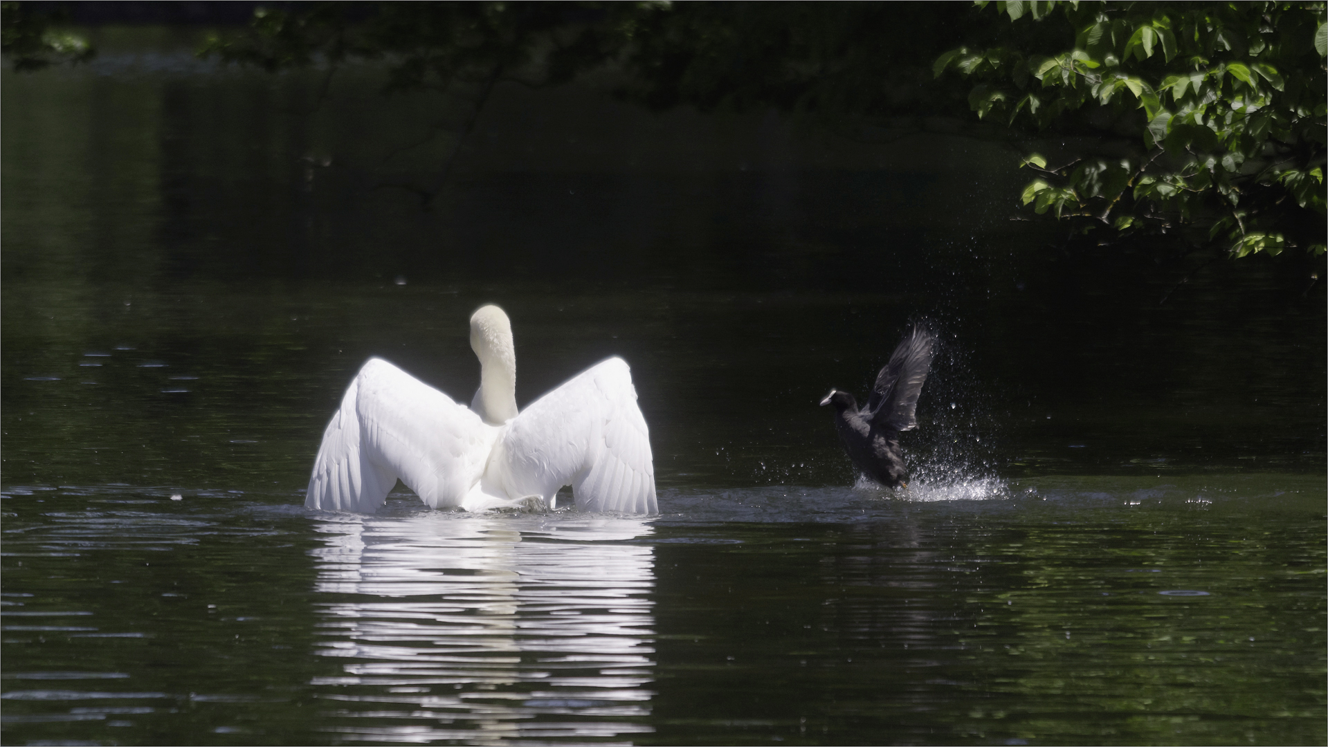 Einsicht Foto & Bild | park, münchen, natur Bilder auf fotocommunity