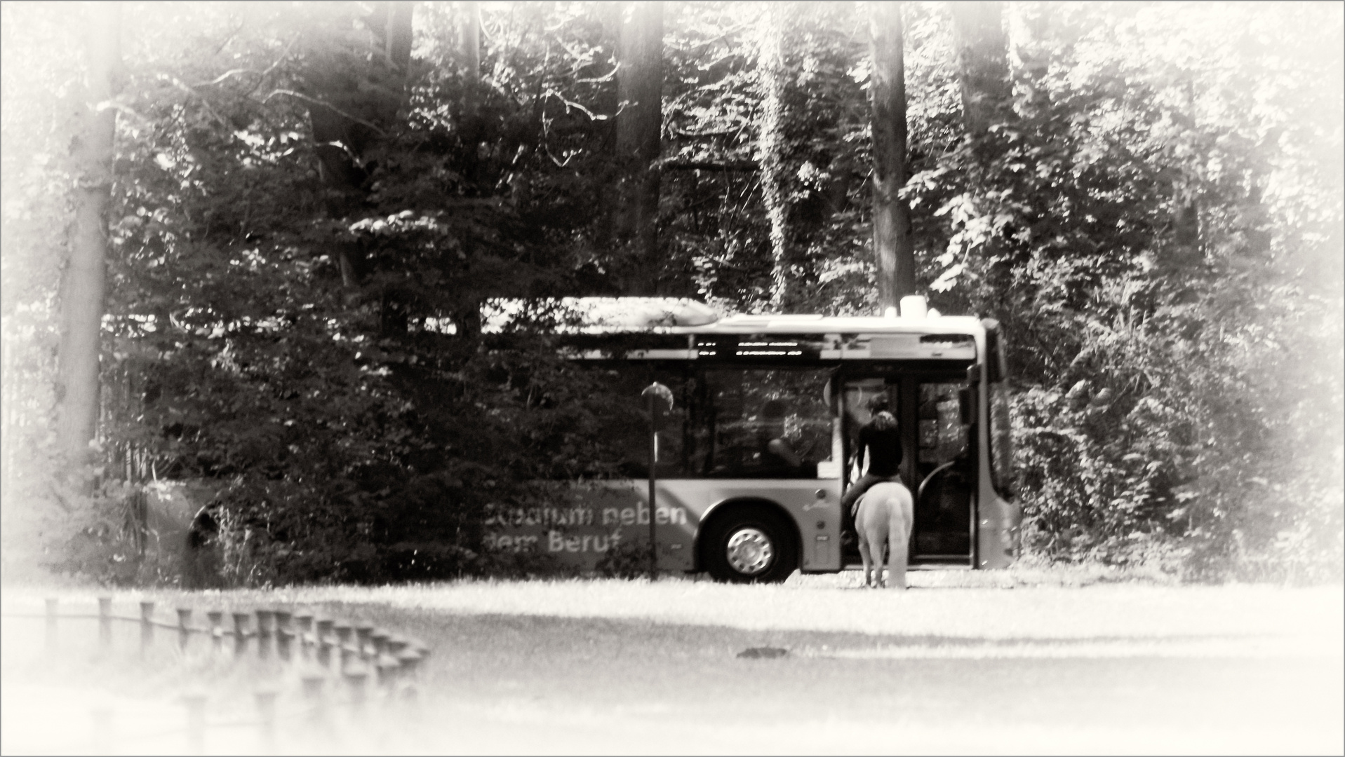 Einstieg Foto & Bild | münchen, natur, bus Bilder auf fotocommunity