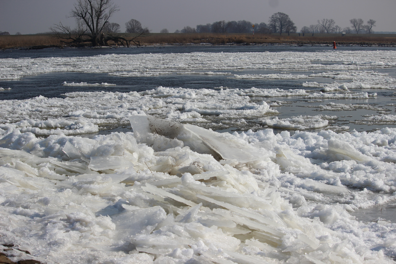 Eis auf der Elbe Foto & Bild | deutschland, europe, sachsen- anhalt ...