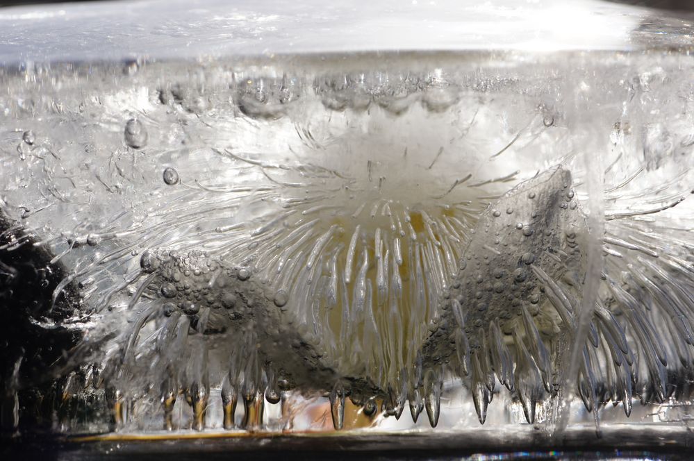 Eis Foto & Bild | sonstiges, wasser im detail, eisdetails Bilder auf ...