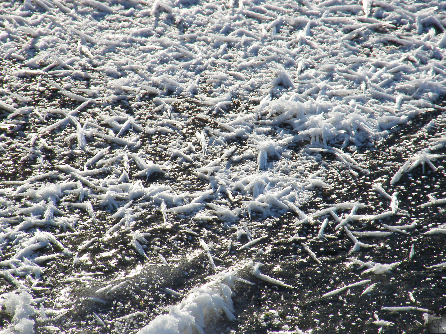 Eis. Foto & Bild | sonstiges, sonstige, natur Bilder auf fotocommunity