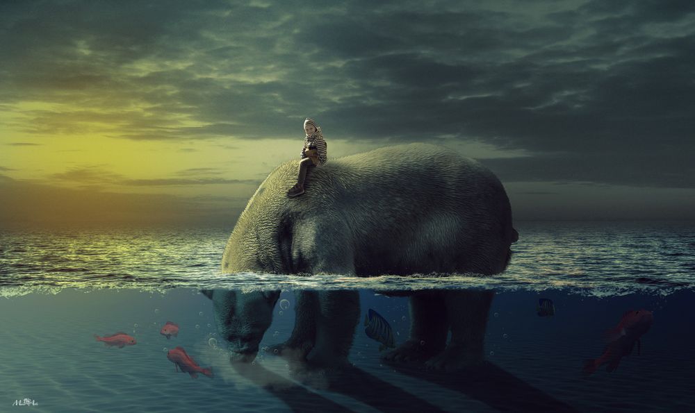Eisbär Foto & Bild | fotomontage, composing , fotos Bilder auf fotocommunity