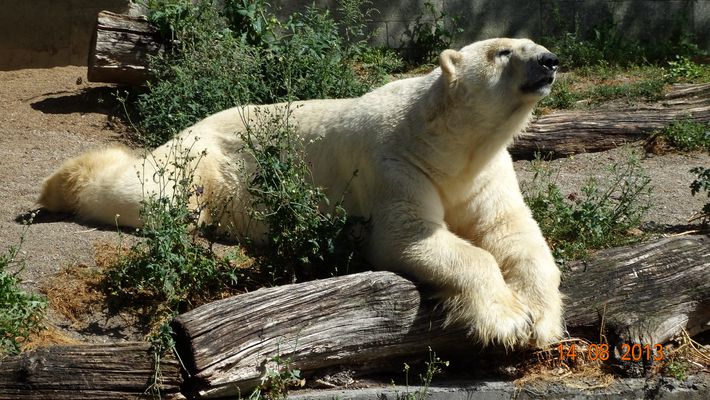 Robert Krase - Fotos & Bilder - Fotograf aus Teterow, Deutschland ...