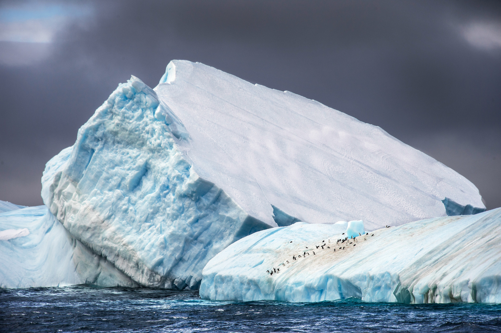 Eisberg Foto & Bild | antarctica, poles, pinguin Bilder auf fotocommunity